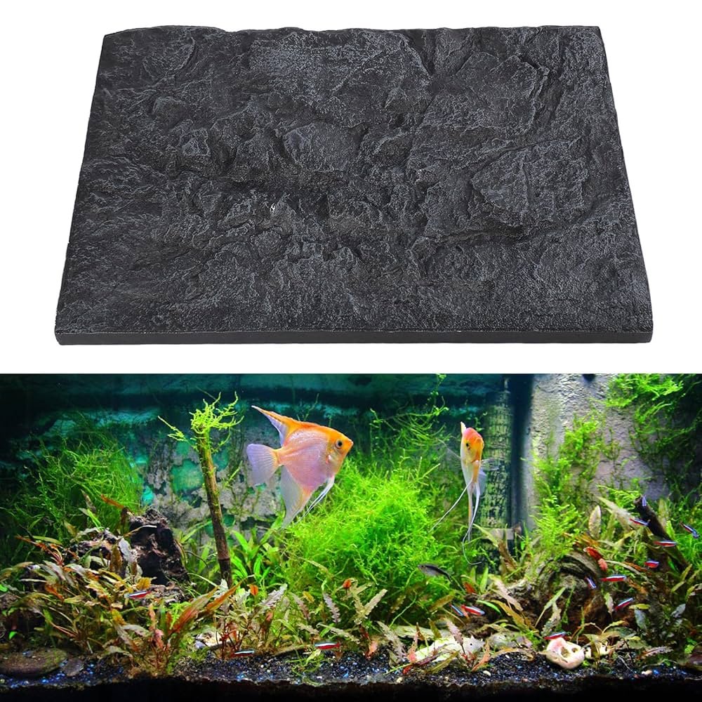 3D Aquarium Backgrounds: Stunning Designs to Transform Your Tank - Top ...