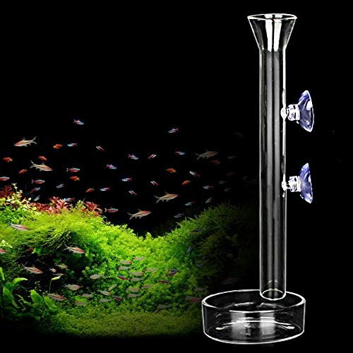 Affordable Aquarium Stand for Nano Shrimp Fry Tank: Top Choices ...