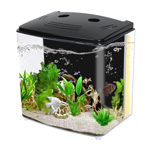Affordable Complete Aquarium Setup for Small Fish Fry: Best Starter ...