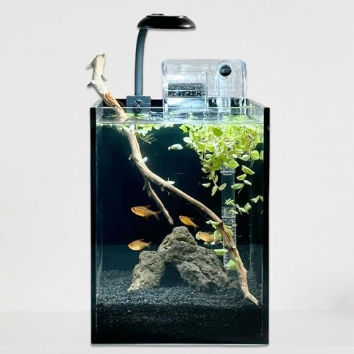 Affordable Nano Tank Moss Kit: Ultimate Setup for Stunning Aquascapes ...