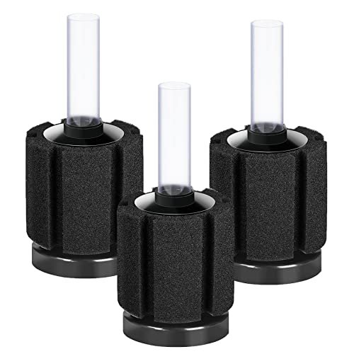 Affordable Nano Tank Sponge Filter: Top Quiet Bio Filters for Small ...