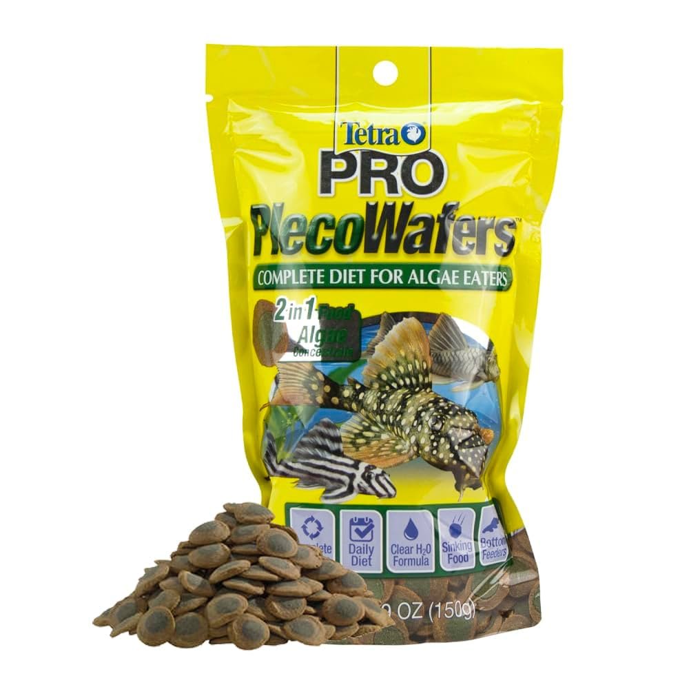 Algae Wafers for Bottom Feeders: Ultimate Guide for Healthy Fish - Top ...