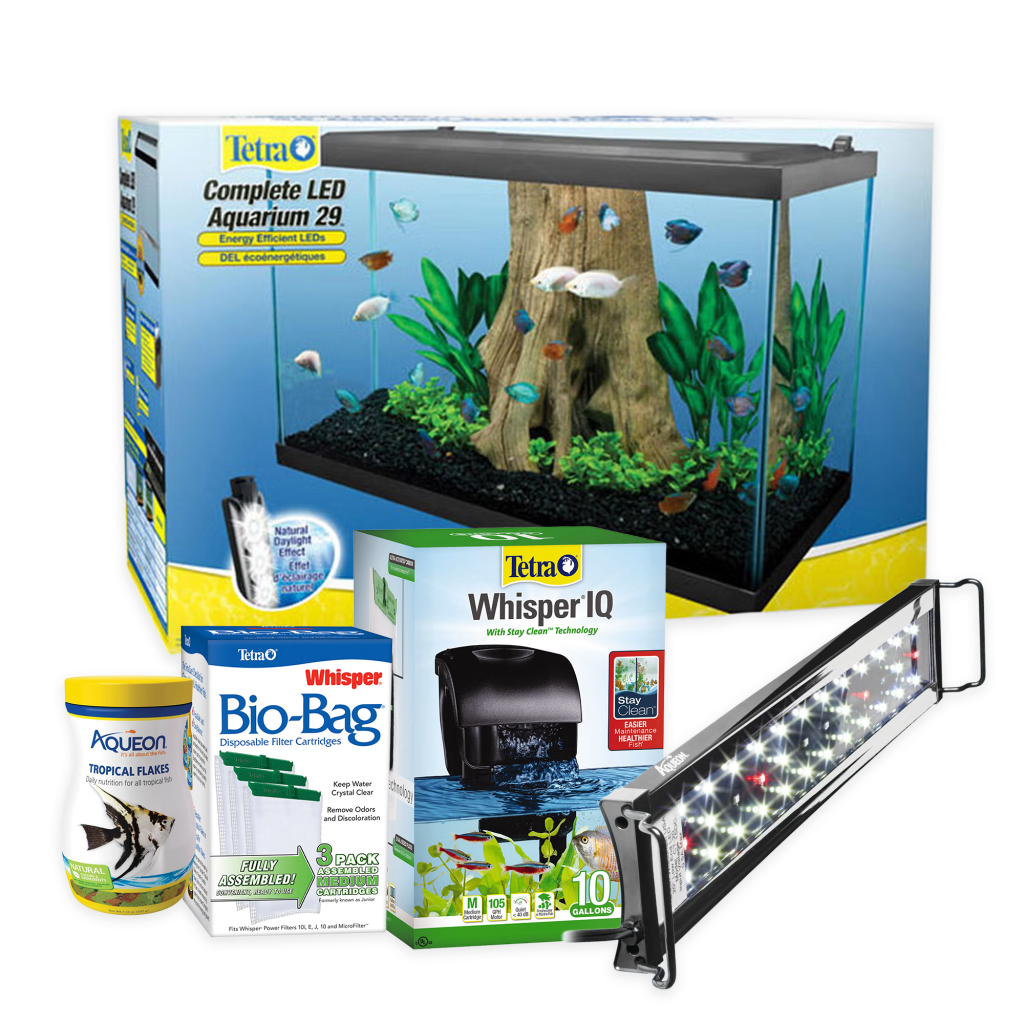 Angelfish Tank Starter Kit: Ultimate Guide for Beginners - Top Aquarium
