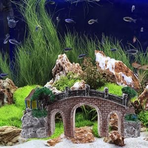 Aquarium Bridges for Decoration: Stunning Ideas to Transform Your Tank ...