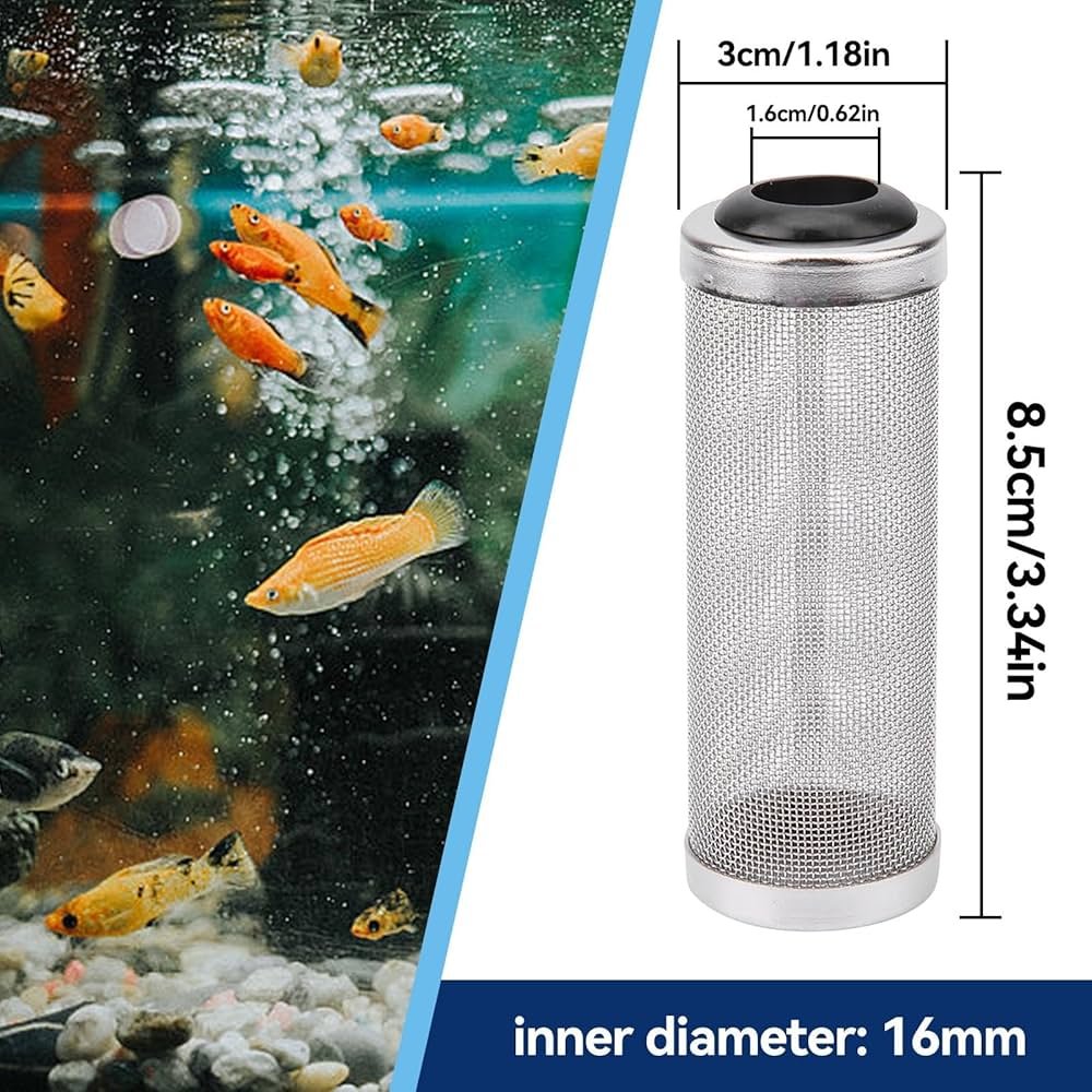 Aquarium Filter for Shrimp Tanks: Ultimate Guide to Clean Water - Top ...