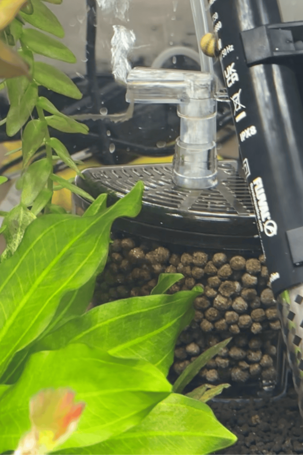 Aquarium Filter for Shy Fish: Silent Solutions for Peaceful Tanks ...