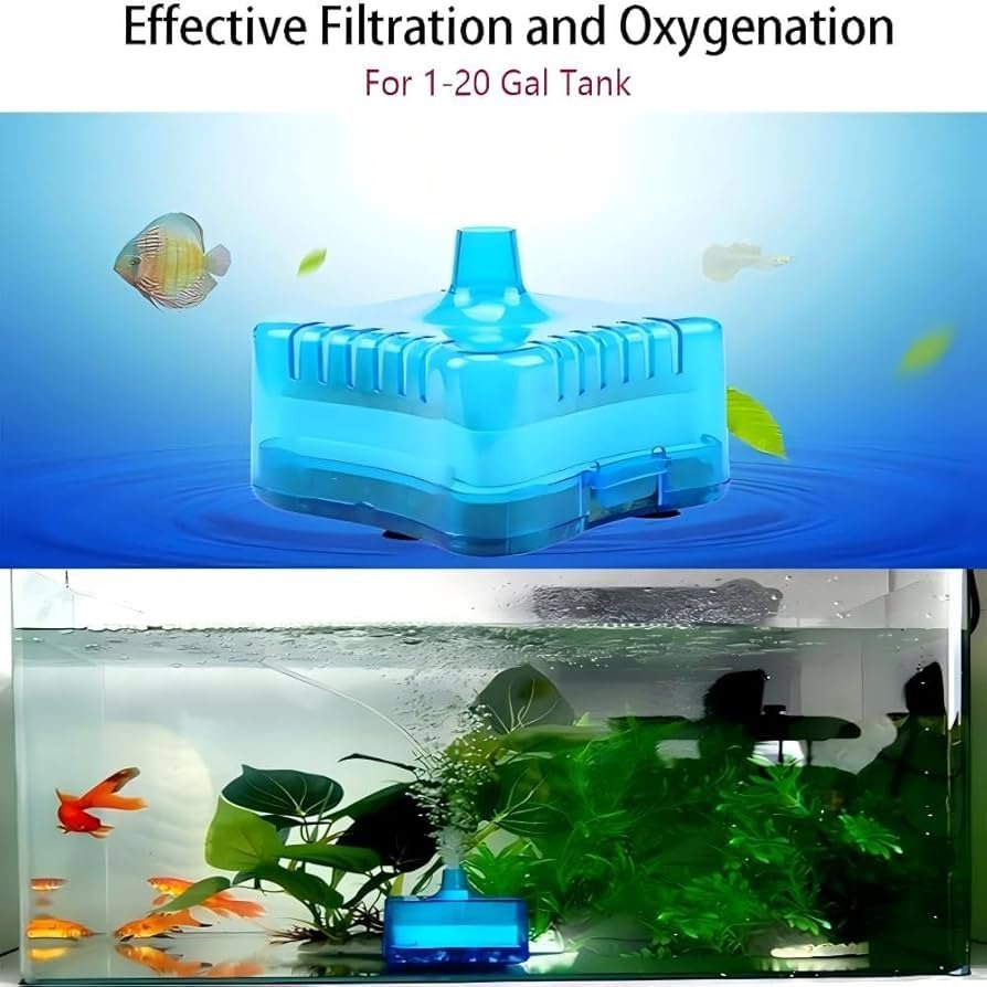 Aquarium Filter for Small Fish Species: Top Picks for Crystal Clear ...