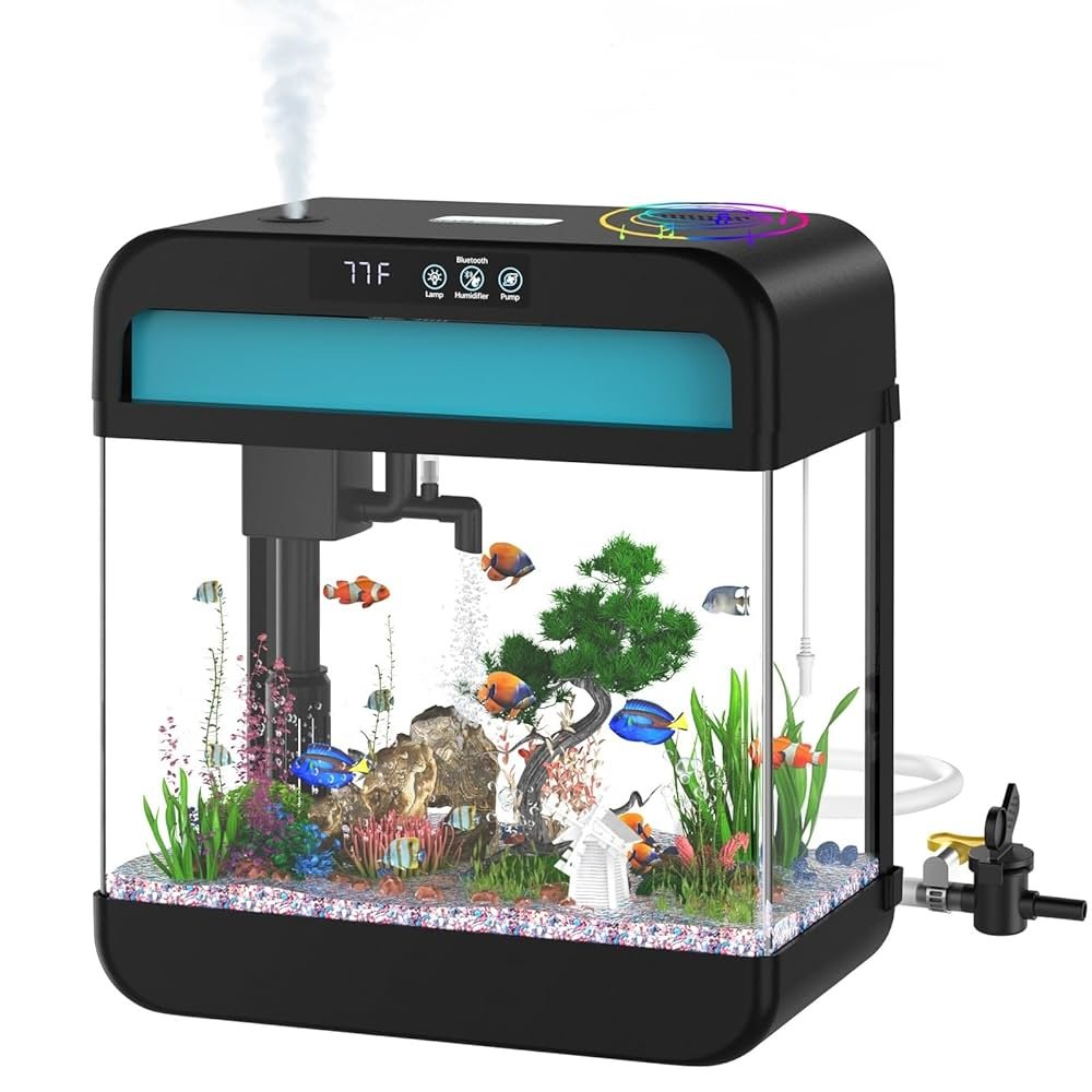 Aquarium Kit With Aeration: Ultimate Guide for Healthy Fish Tanks - Top ...