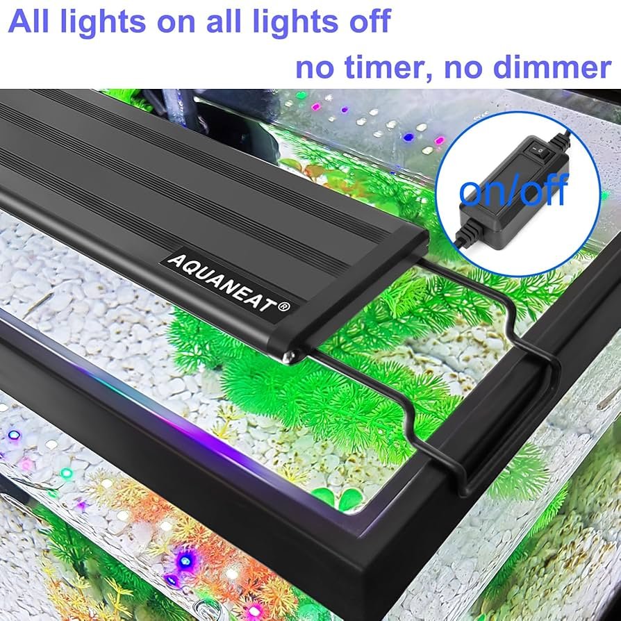 Aquarium Led Lighting for Live Streaming: Brighten Your Underwater Show ...