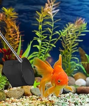 Aquarium Net for Small Fish: Essential Tips for Safe Catching - Top ...