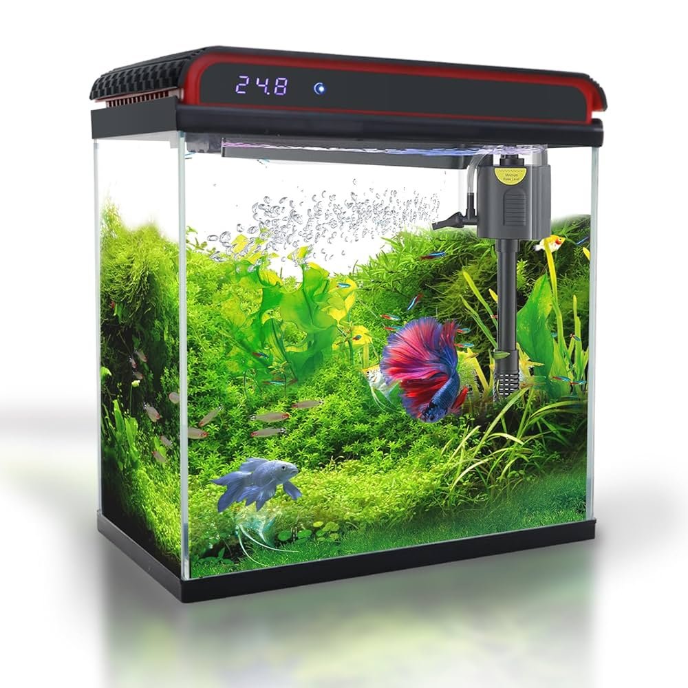 Aquarium Setup for 5-Gallon Tank: Ultimate Beginner's Guide - Top Aquarium