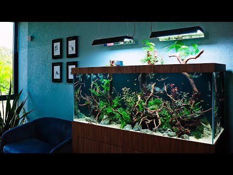 Aquascaping for Offices: Transform Your Workspace with Serenity - Top ...