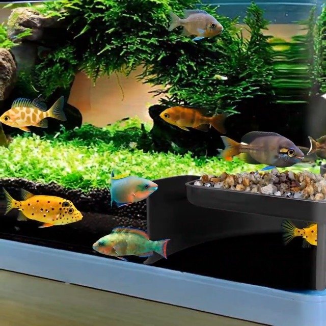 Aquascaping With Caves for Shy Fish: Ultimate Hiding Spot Guide - Top ...