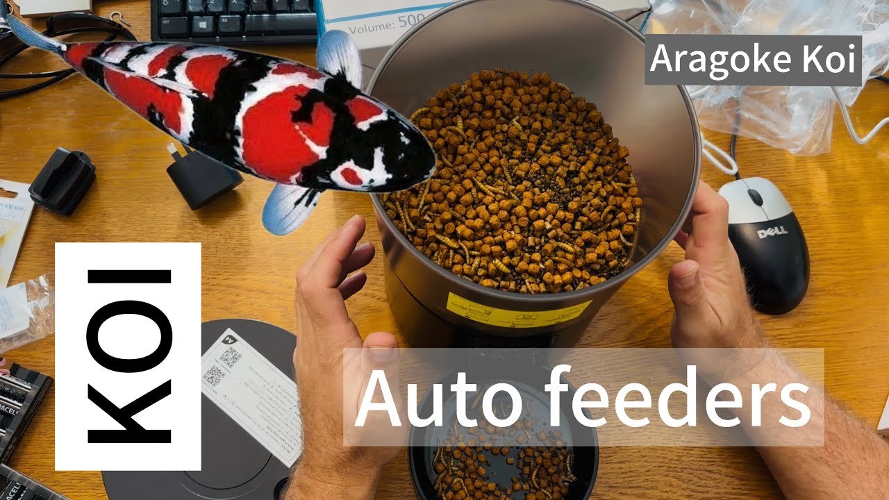 Automatic Feeders for Fry Tanks: Boost Growth & Save Time - topaqurium