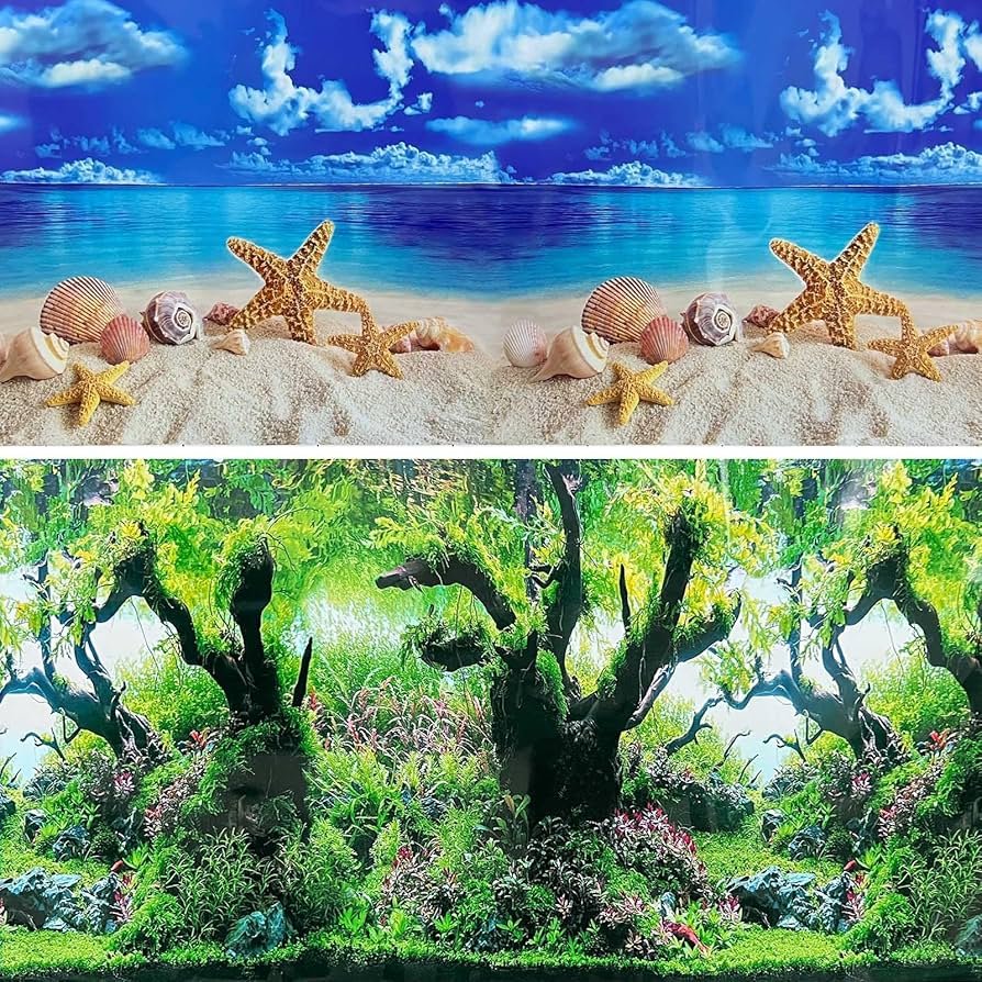 Background Posters for Aquariums: Stunning Designs to Transform Your ...