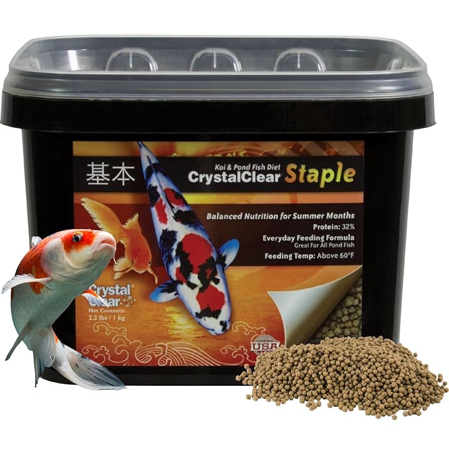 Balanced Diet for Freshwater Fish: Essential Tips for Healthy Growth ...