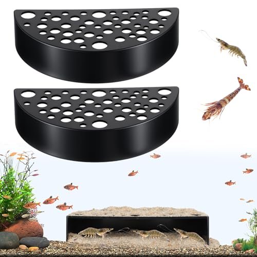 Best Aquarium Caves for Juvenile Shrimp: Top Protective Hideouts ...