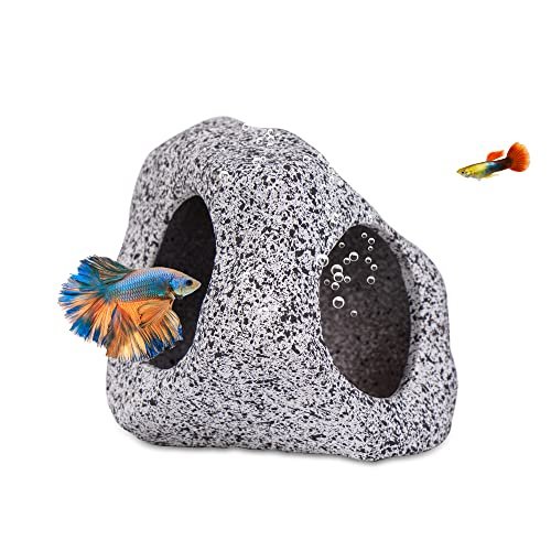 Best Aquarium Caves for Small Fish: Top Safe and Stylish Hideouts - Top ...