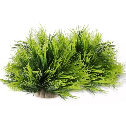 Best Artificial Plants for Nano Juvenile Guppies to Thrive and Hide ...