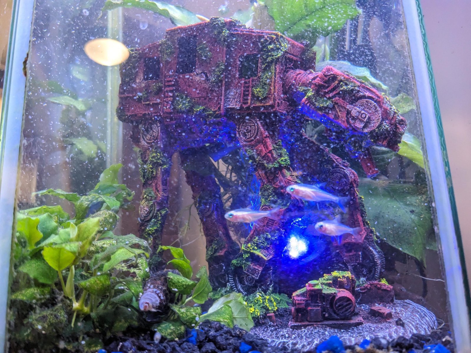 Best Fish Tank for Tetras: Top Picks for a Thriving Aquarium - Top Aquarium