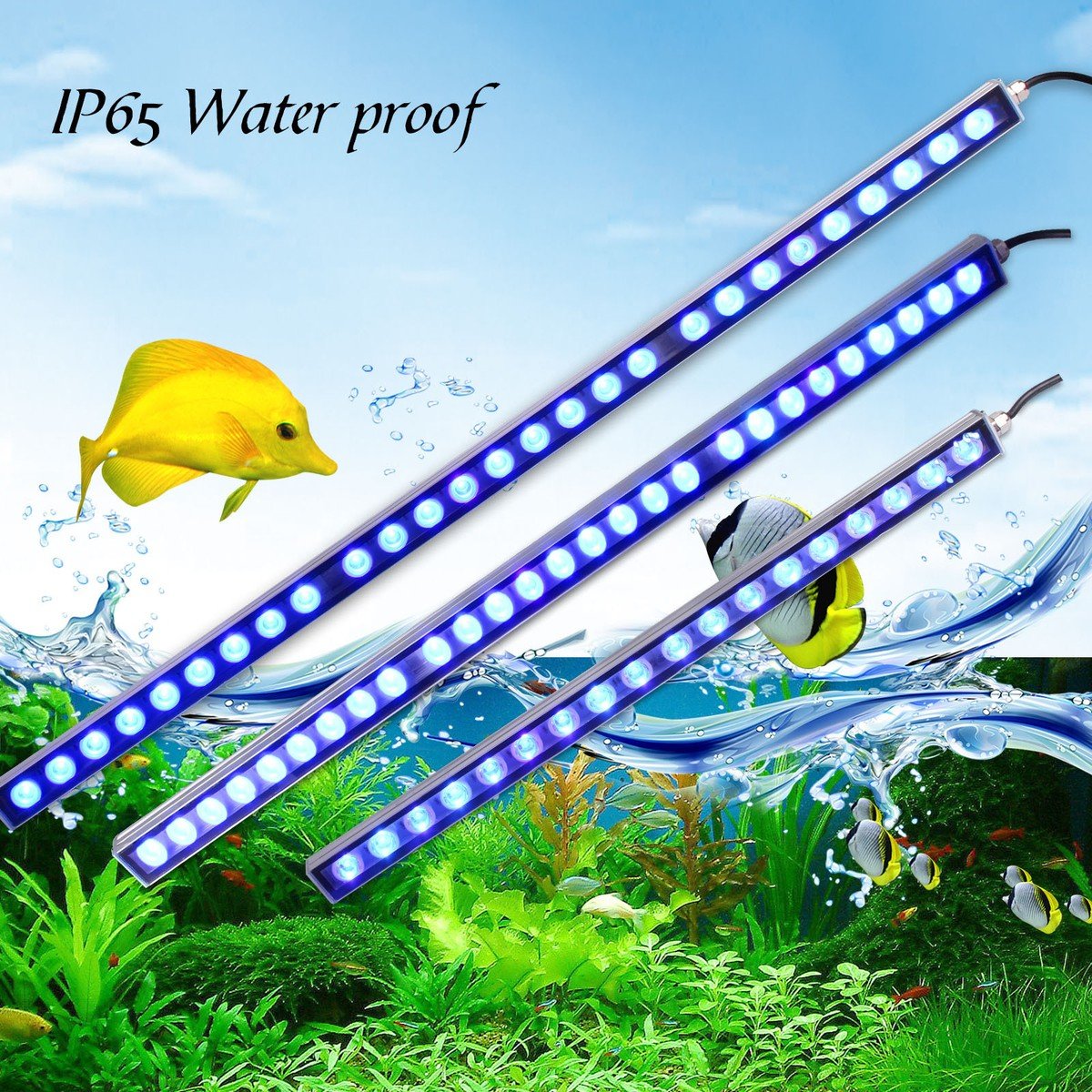 Best Led Lighting for Ornamental Fish: Enhance Color & Health - Top ...