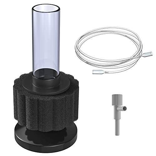 Best Nano Tank Sponge Filter Small for Quiet and Efficient Filtration ...
