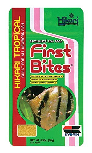 Best Ornamental Fish Fry Starter Food for Healthy and Rapid Growth ...