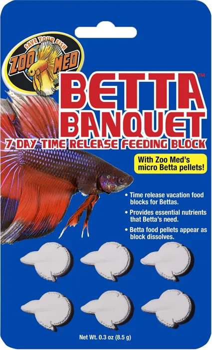 Betta Powdered Food Feeding: Ultimate Guide for Healthy Fish Growth ...