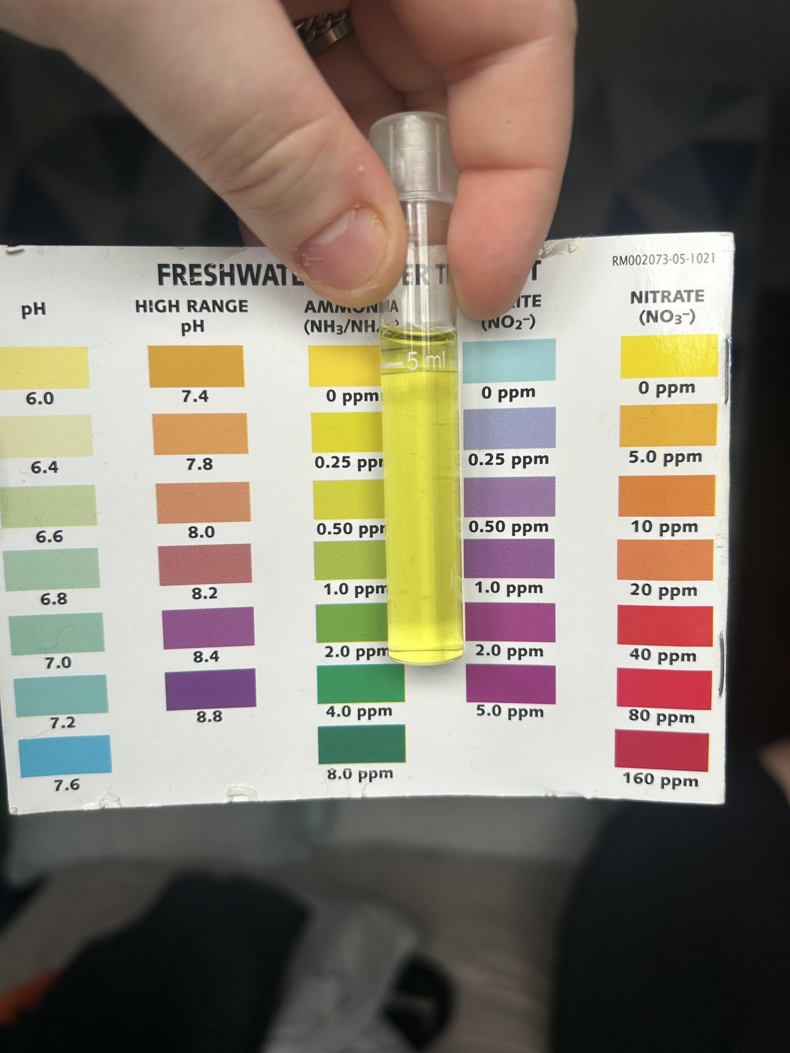 Betta Water Parameter Requirements: Essential Tips for Healthy Fish ...