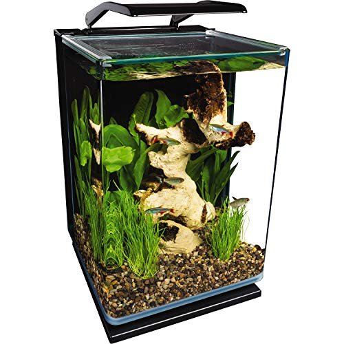 Buy Aquarium Led Moonlight Kit for Stunning Nighttime Fish Tank Glow ...