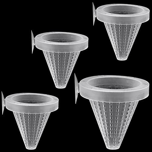 Buy Feeding Cone for Fish Fry: Top Aquarium Worm Feeders with Suction ...