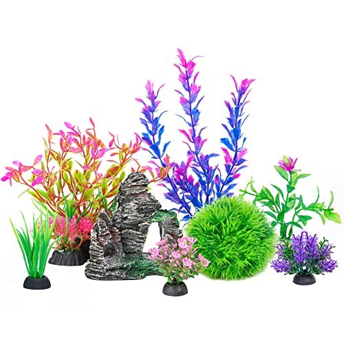 Cheap Aquarium Plants for 10 Gallon Tank: Best Affordable Decorations ...