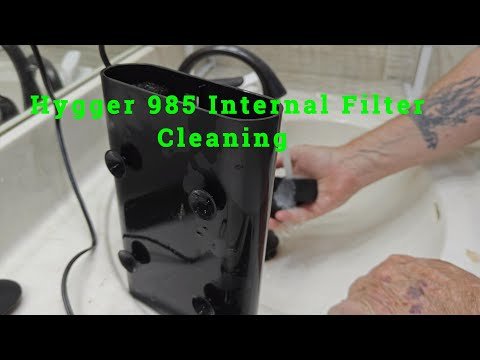 Cleaning Internal Filters: Essential Tips for Peak Performance - Top ...