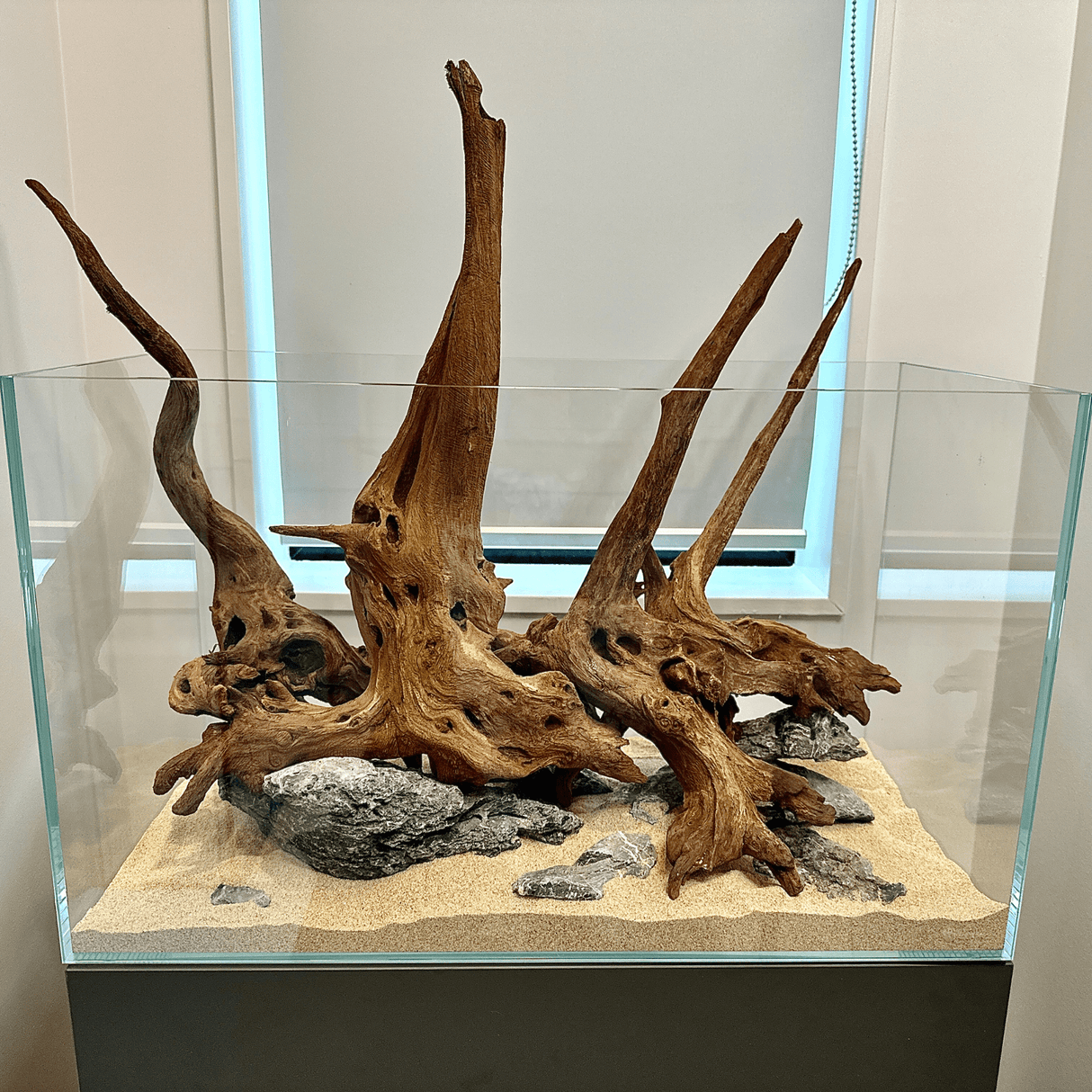 Driftwood for Hiding Fish: Ultimate Natural Aquarium Shelter Guide ...