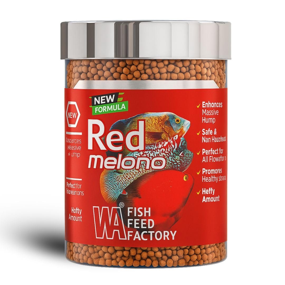 Feeding Ornamental Fish With Color-Enhancing Food: Ultimate Guide - Top ...