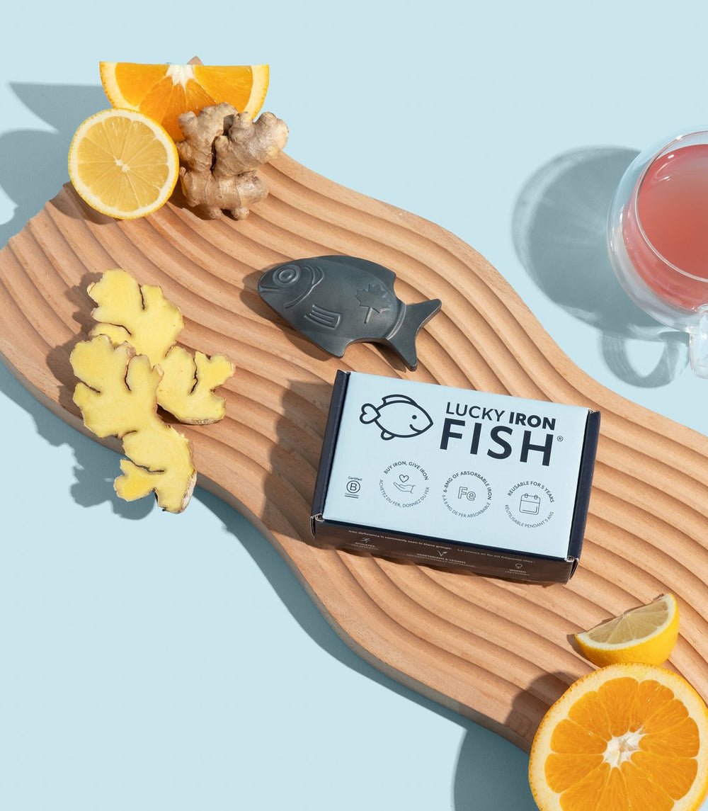 Fish Feeding Tools for Adult Fish: Essential Gadgets for Easy Care ...