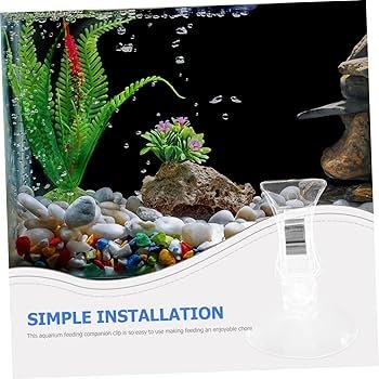 Fish Feeding Tools for Easy Handling: Ultimate Guide for Effortless ...