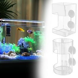 Fish Feeding Trays for Small Fish: Ultimate Guide to Easy Feeding - Top ...