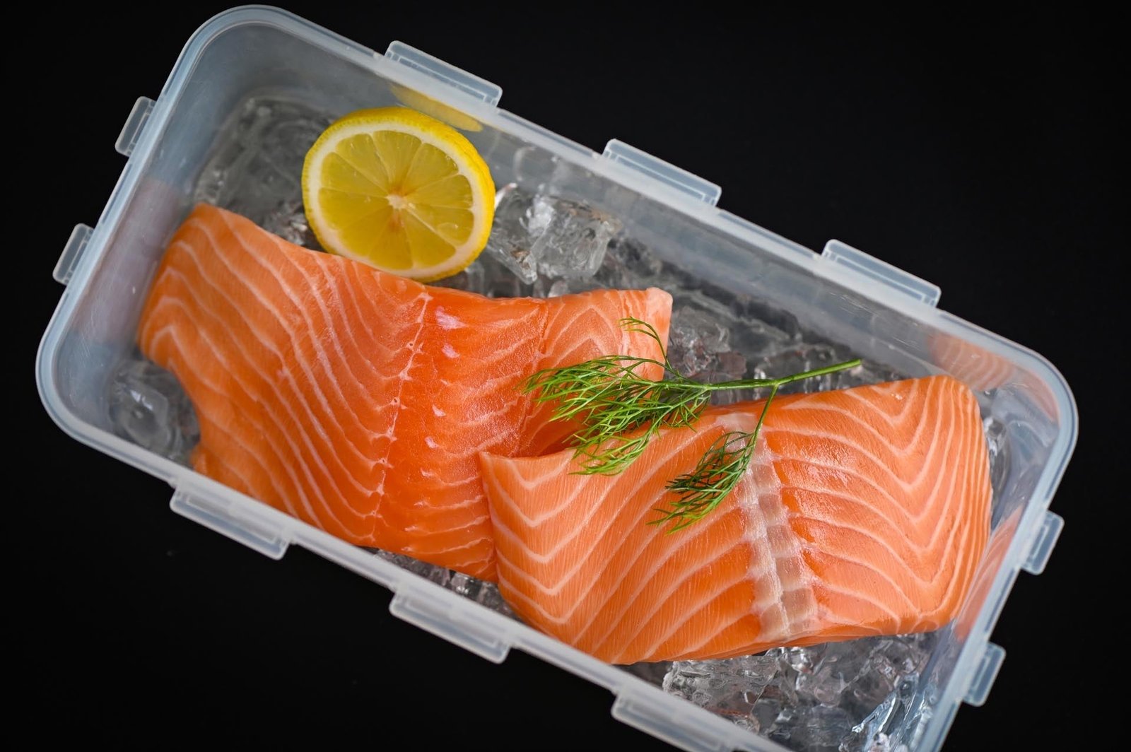 Fish Food Storage Tips: Ultimate Guide to Keep Food Fresh Longer - Top ...