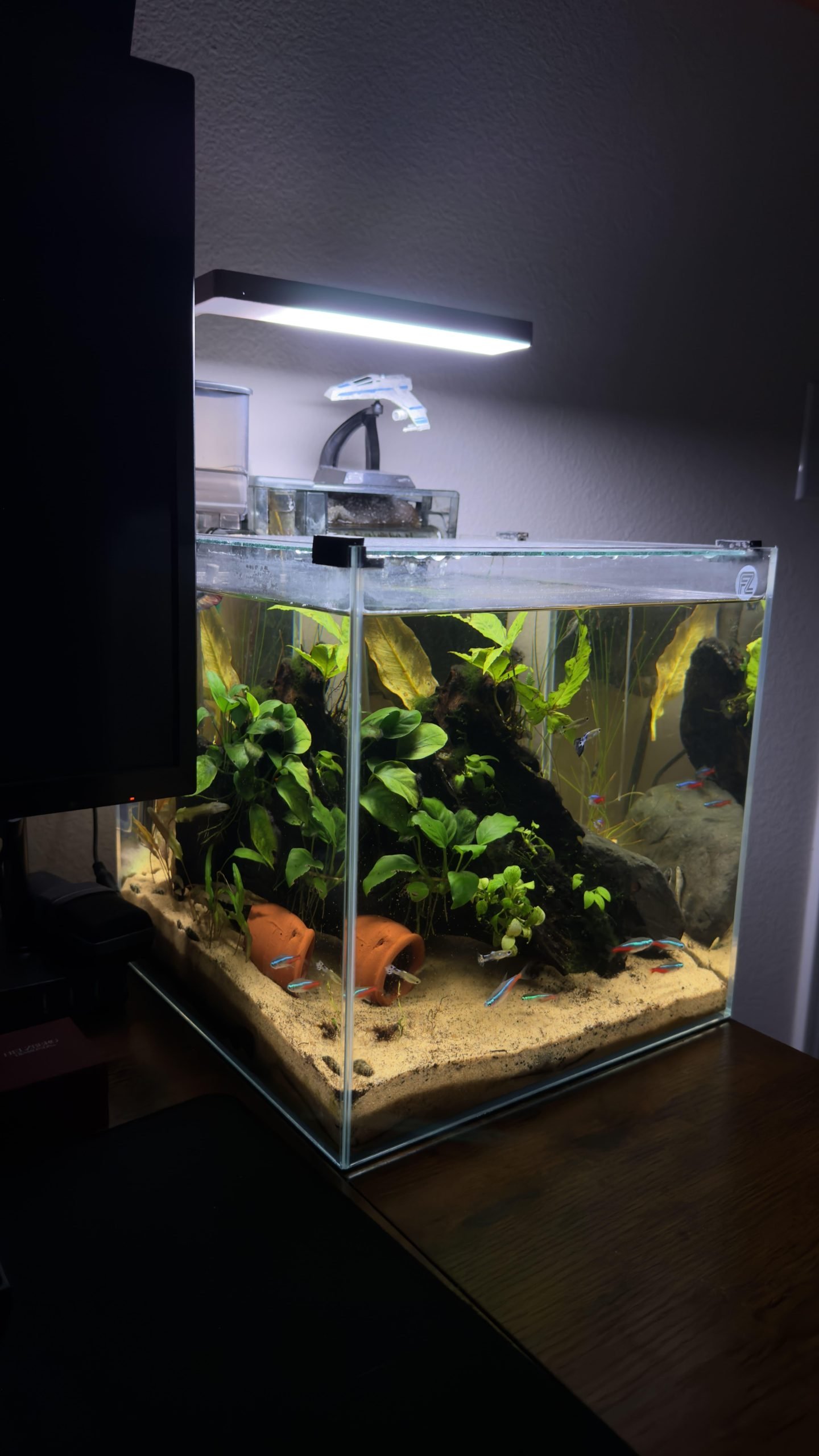 Fish Tank Setup for Plant Growth Lights: Ultimate Guide for Success ...