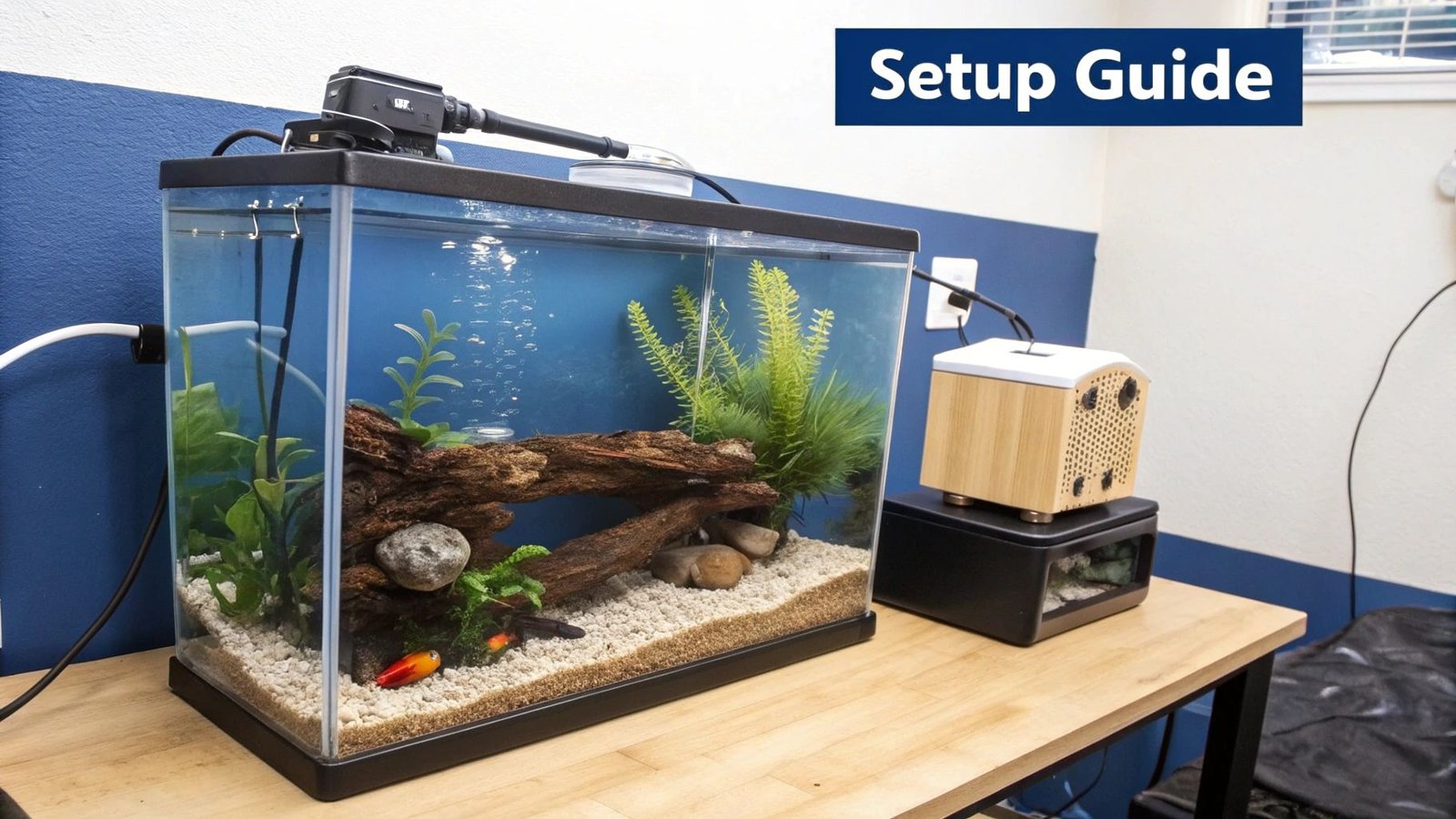 Fish Tank Setup for Professional Aquarists: Ultimate Guide & Tips - Top ...