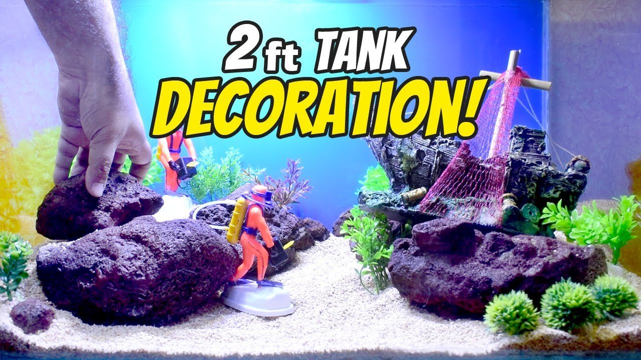 Fish Tank Setup With Artificial Decorations: Ultimate Guide for ...