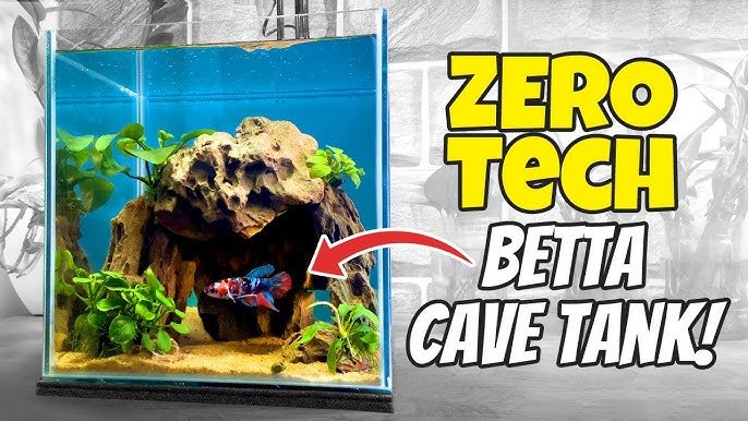 Fish Tank Setup With Caves: Ultimate Guide for Stunning Aquariums - Top ...