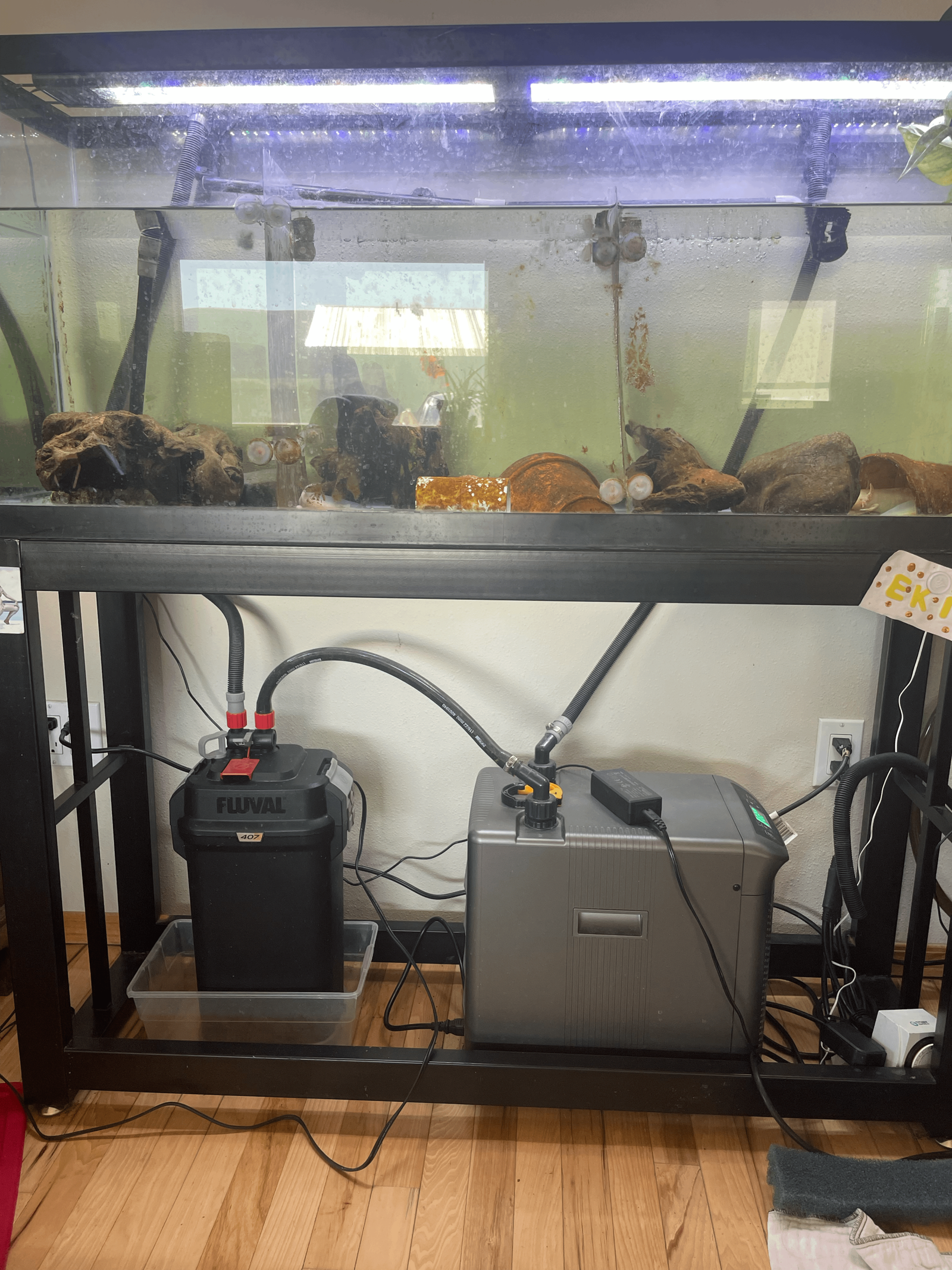 Fish Tank Setup With Chiller: Ultimate Guide for Perfect Cooling ...