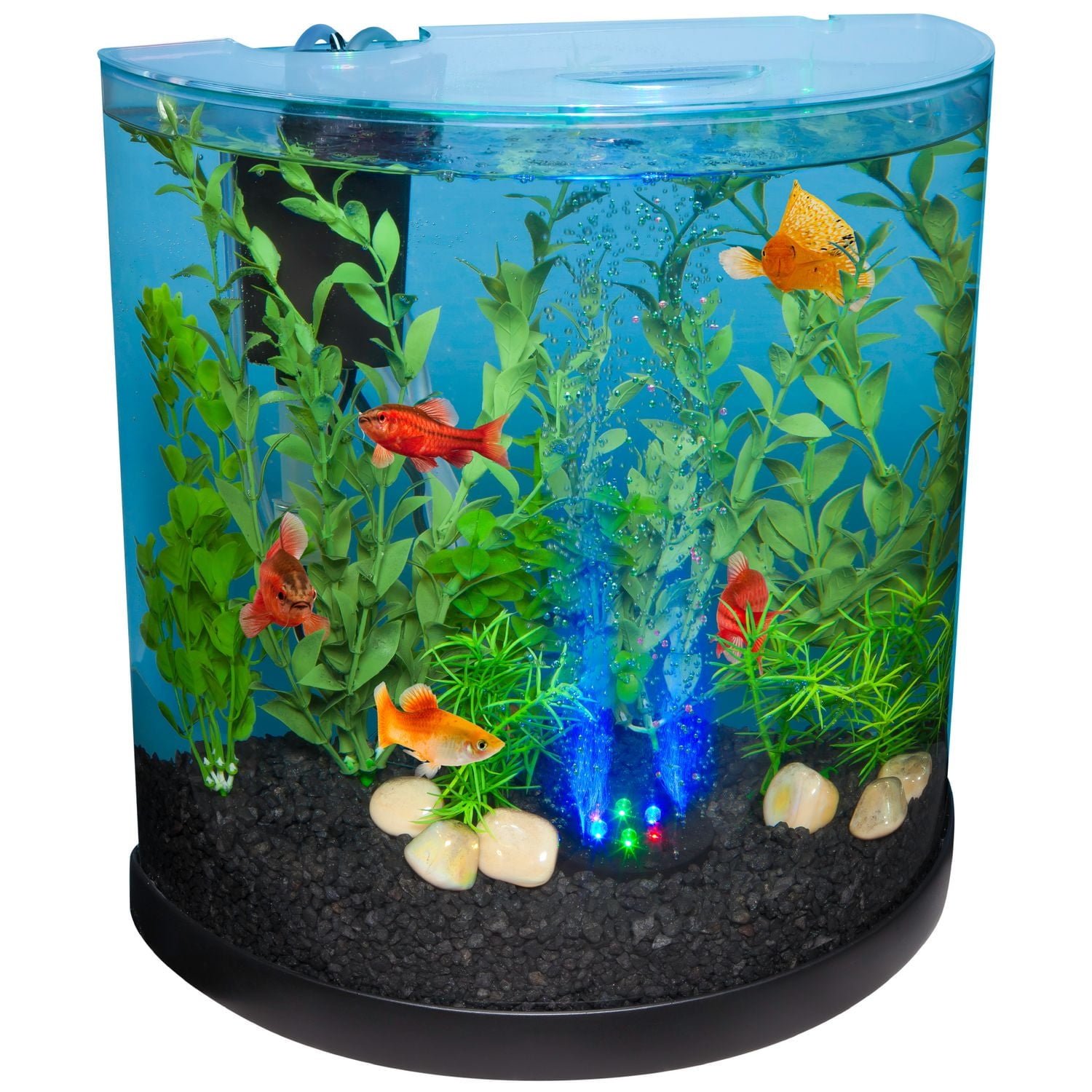 Fish Tank Setup With Moonlight Leds: Stunning Nighttime Aquariums - Top ...