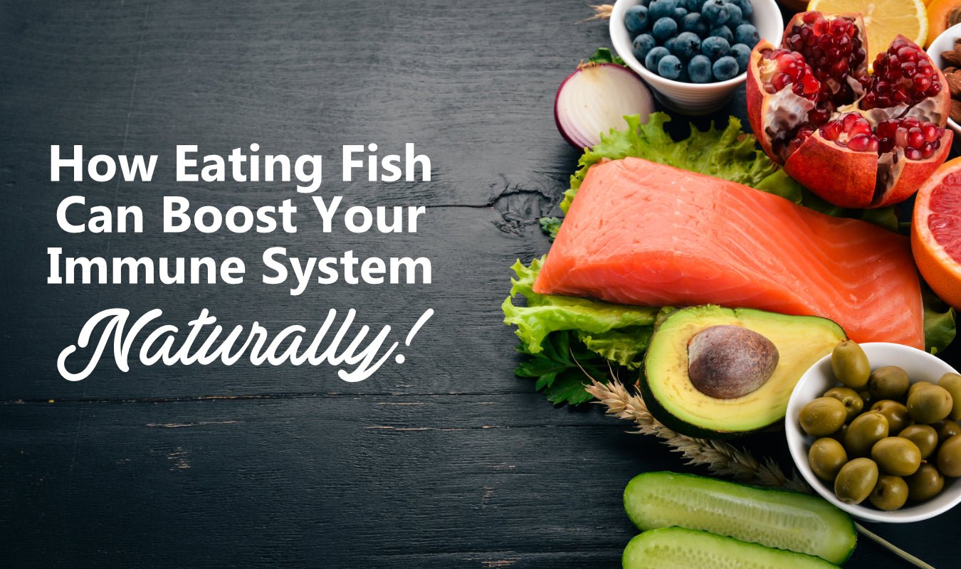How to Boost Molly Fish Immunity: Proven Tips for Healthier Fish - Top ...