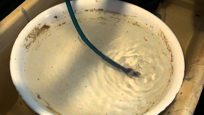 How to Feed Discus Fry: Expert Tips for Healthy Growth - Top Aquarium