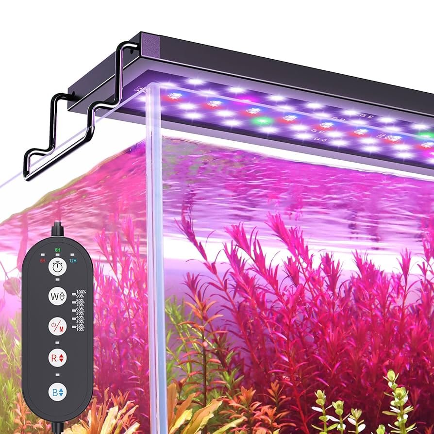 Led Lighting for Freshwater Shrimp Tanks: Ultimate Guide to Brighten ...