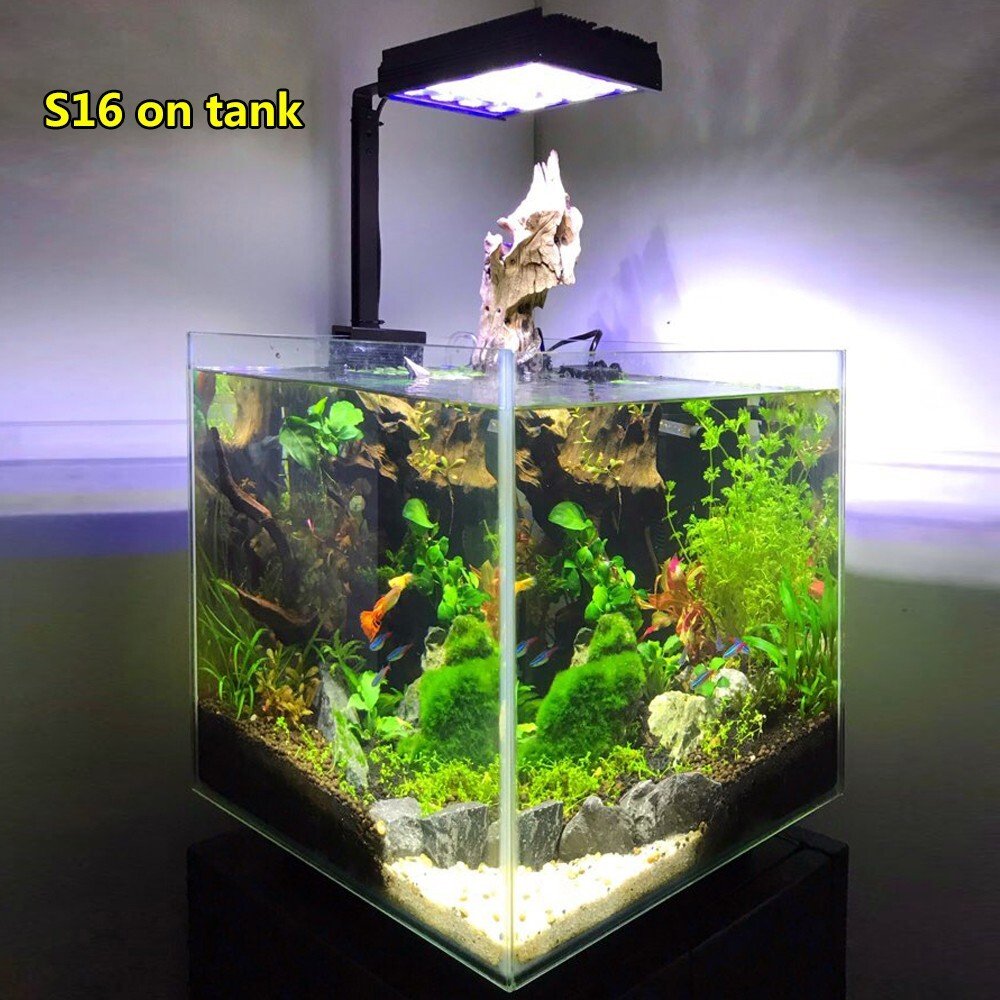 Led Lighting for Juvenile Fish Tanks: Brighten Growth Safely - Top Aquarium