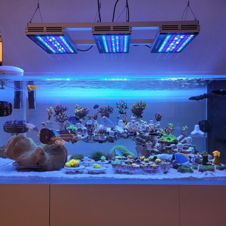 Led Lighting for Large Marine Tanks: Ultimate Brightness & Efficiency ...